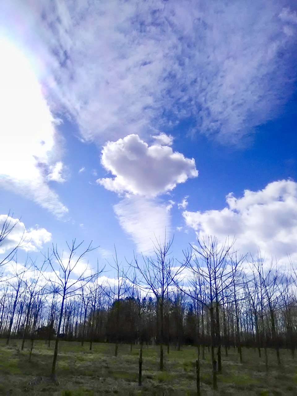 PHOTO OF THE WEEK: AN INDY GALLERY - Amherst Indy