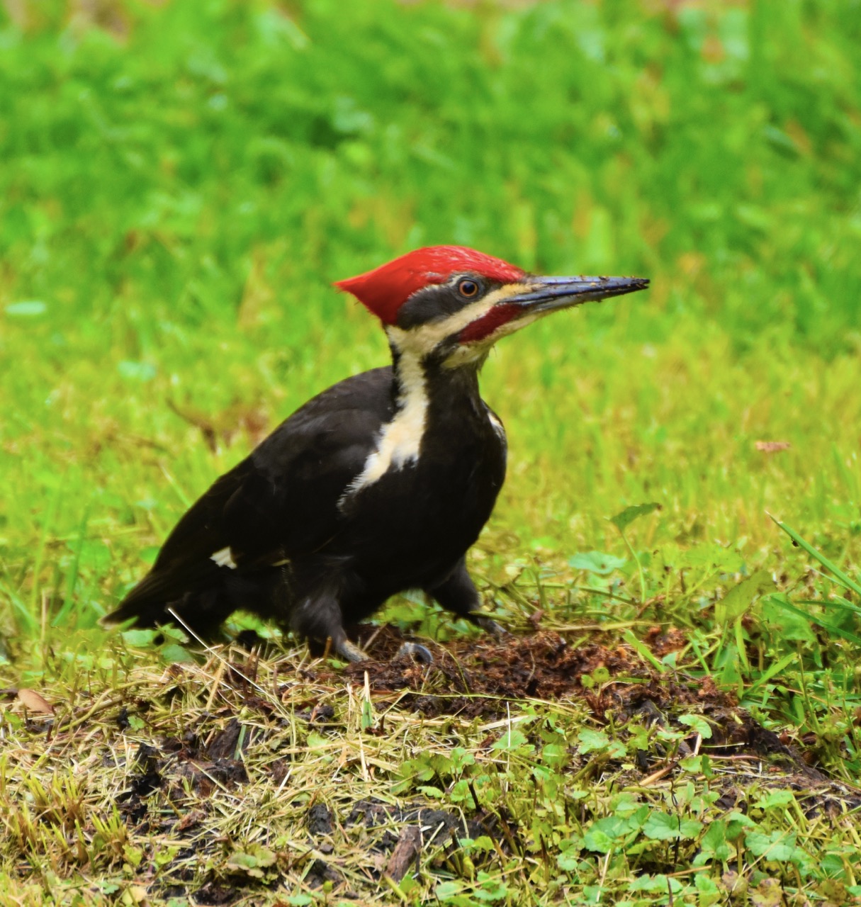 PHOTO OF THE WEEK: AN INDY GALLERY - Amherst Indy