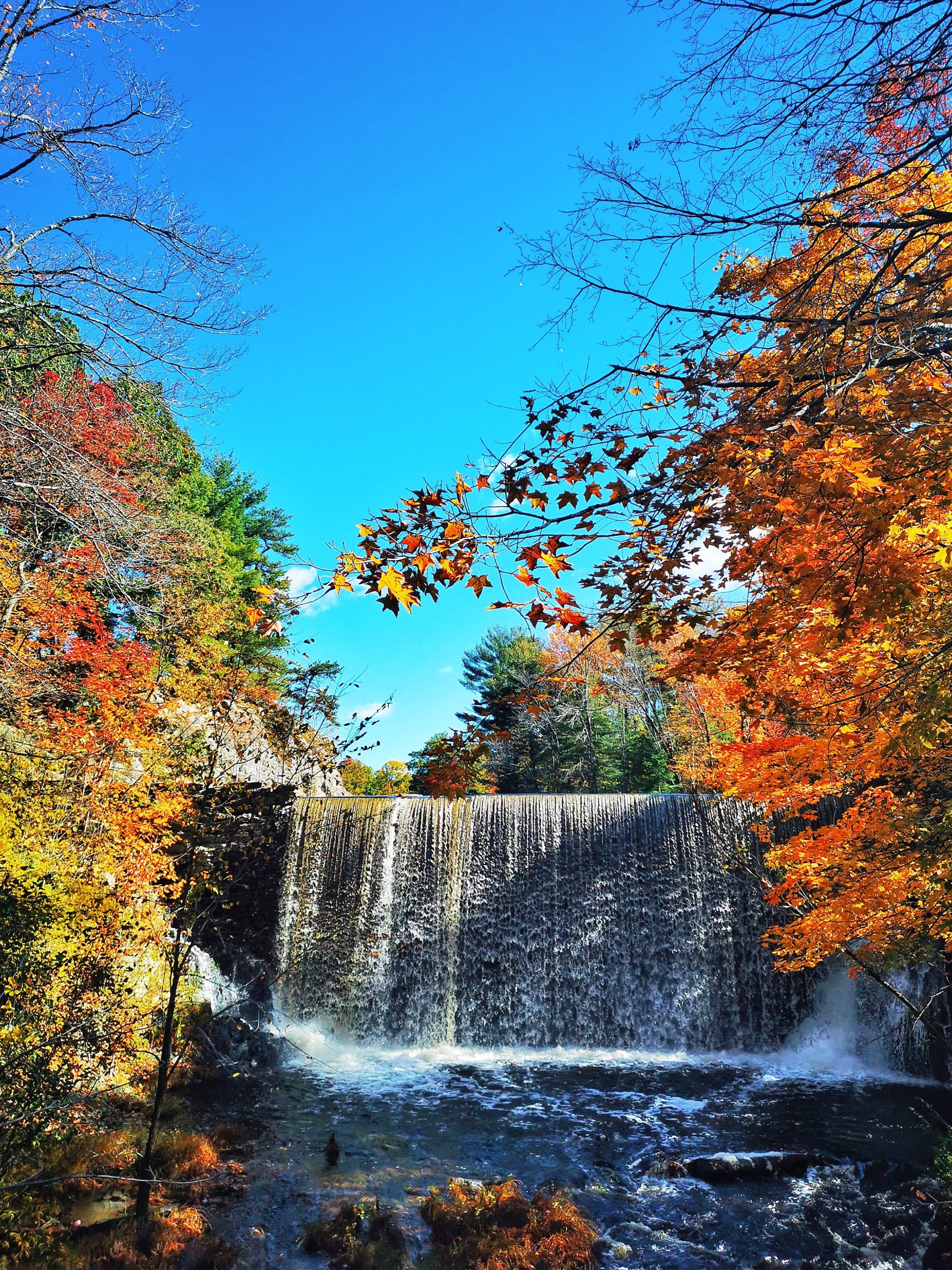 Photo Of The Week: An Indy Fall Foliage Gallery - Amherst Indy