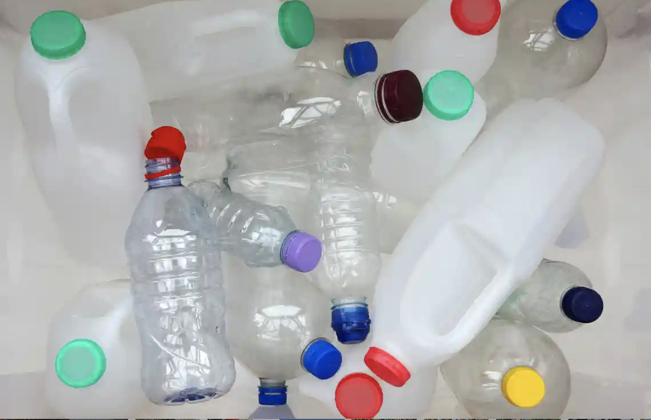 Toxic ‘forever chemicals’ are contaminating plastic food containers ...