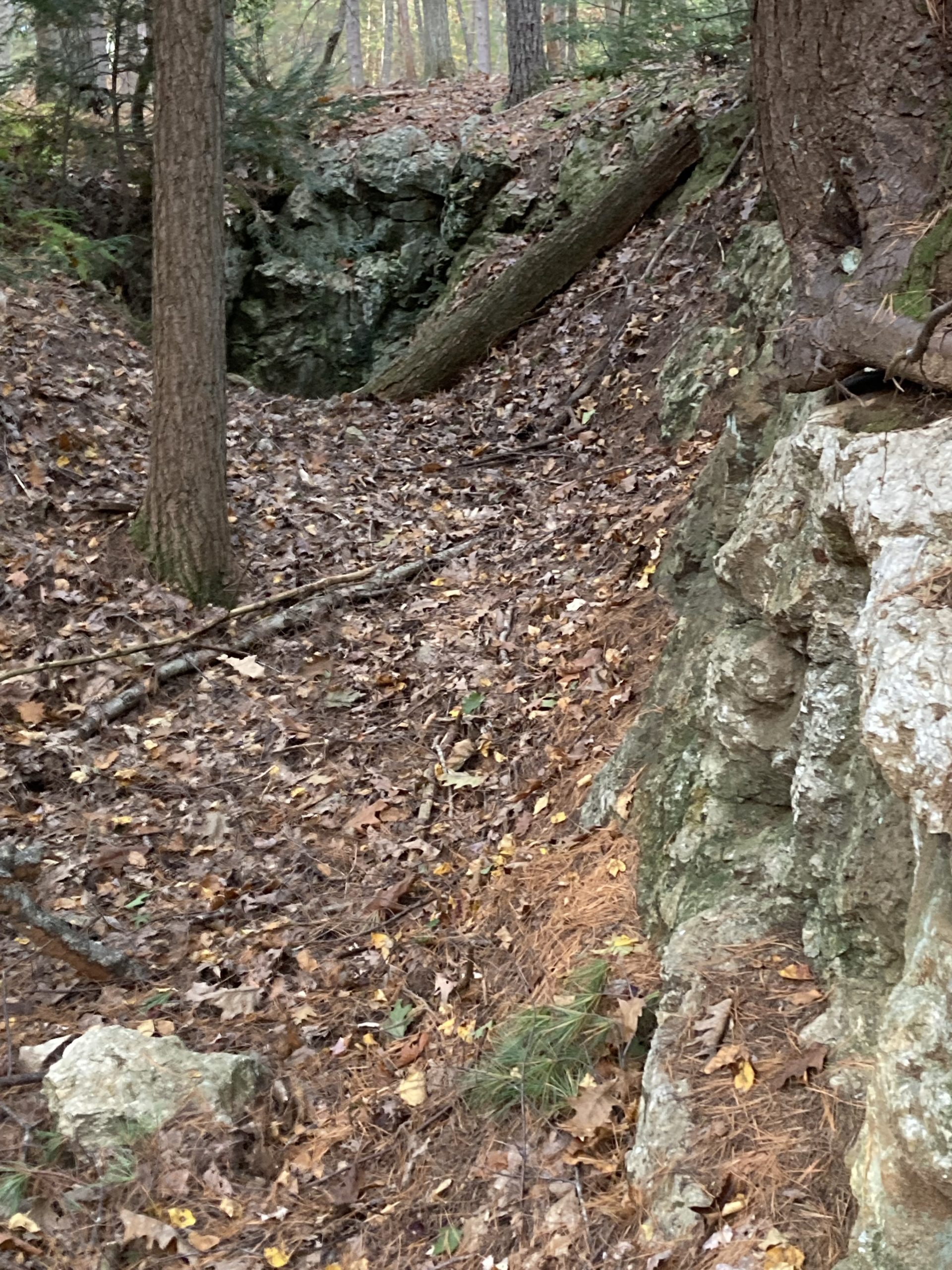 Almanac: Looking For Lead - Amherst Indy