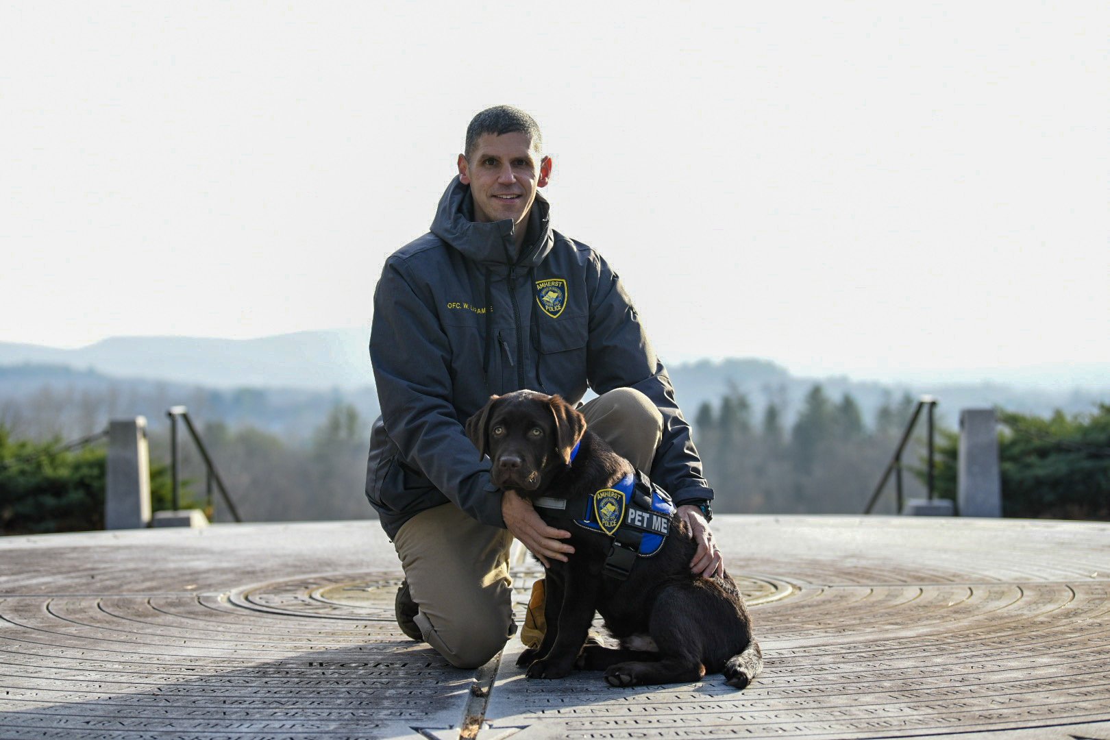 Amherst Police, Community, Mourn Loss Of Winston, The Town Comfort Dog ...