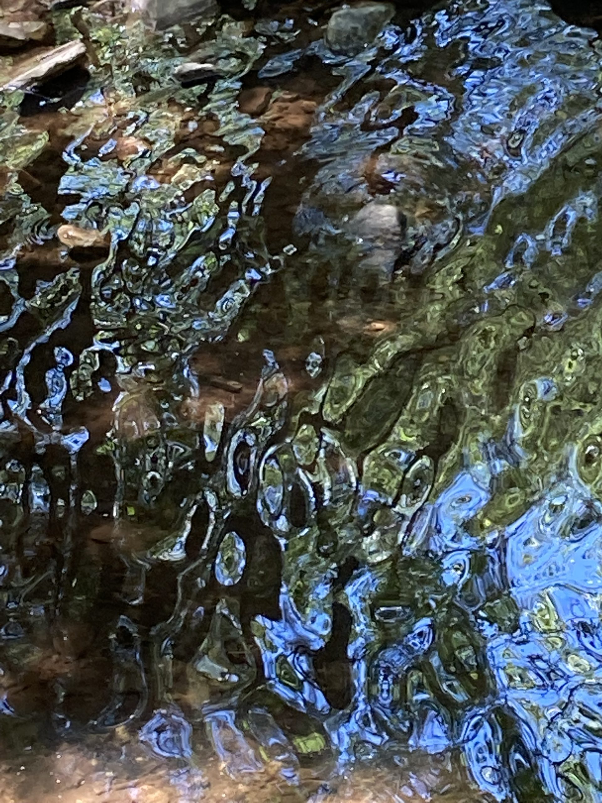 Photo Of The Week: Reflections At Buffam Falls By Annique Boomsma ...