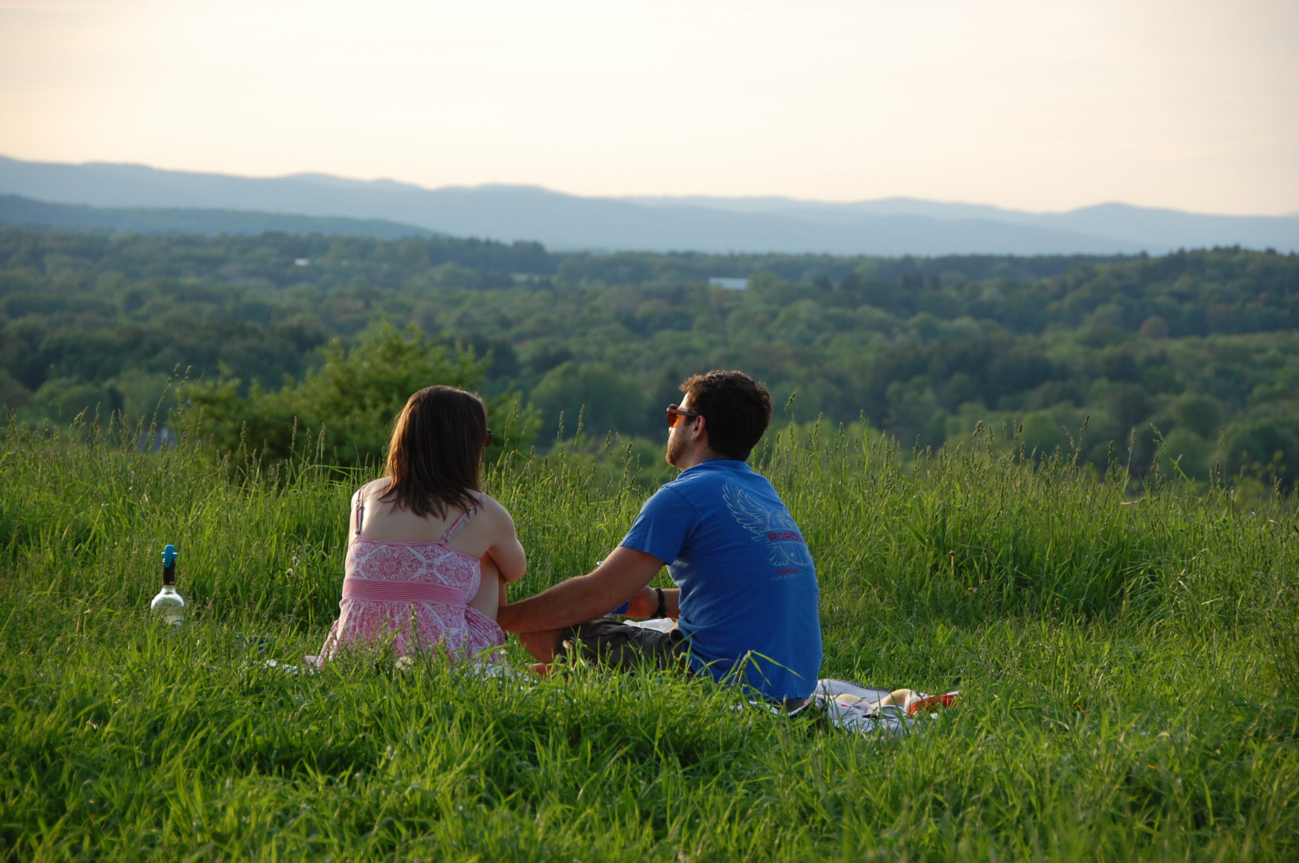 Conservation Commission Discusses Weddings On Mt. Pollux And Storage ...