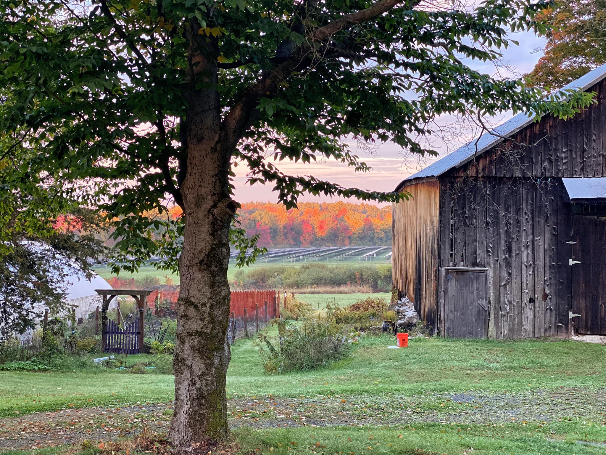 Photo Of The Week: Fall Foliage Gallery 2022, Part 2 - Amherst Indy