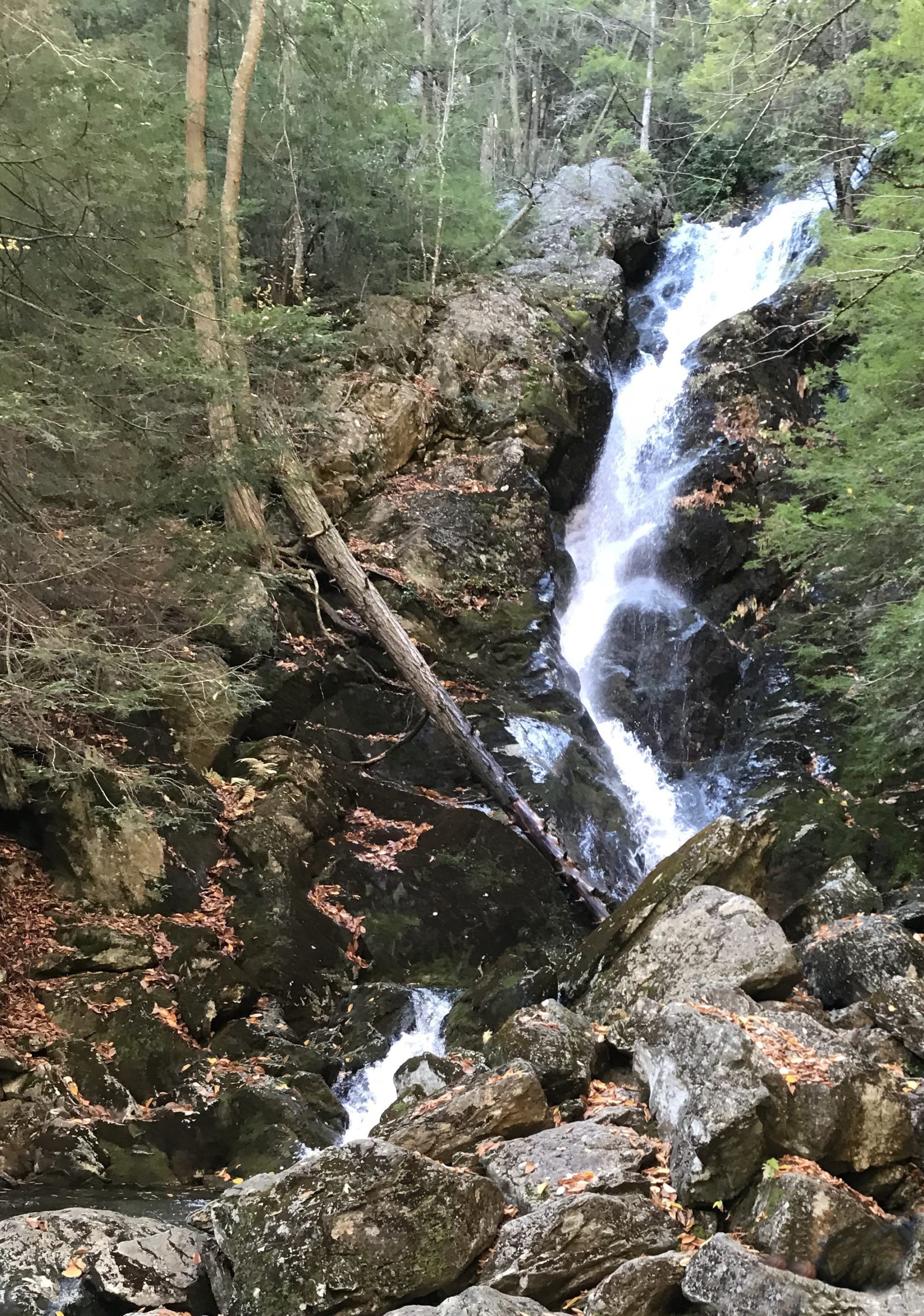 Almanac: Falling Water - Amherst Indy
