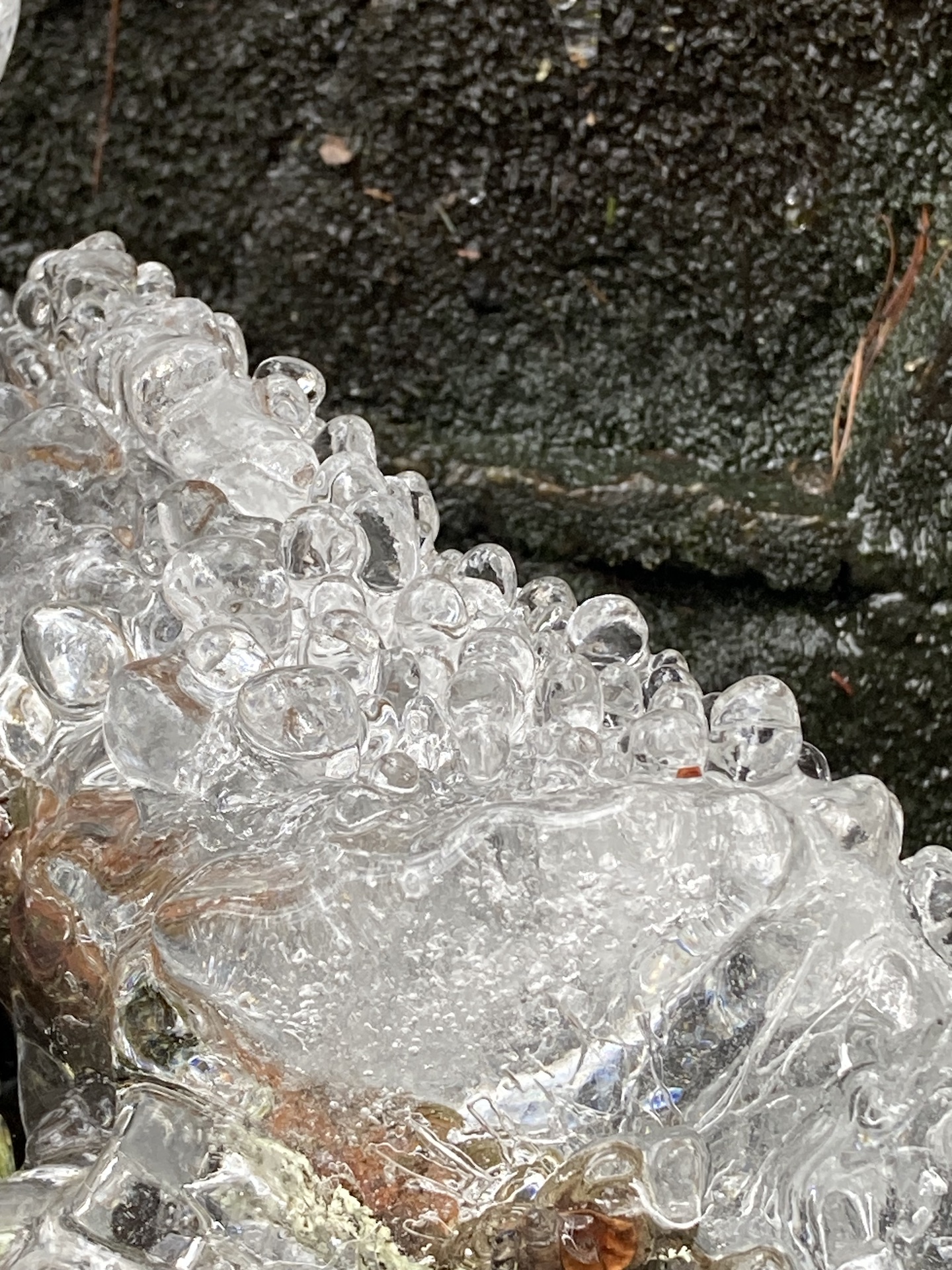 Almanac: Show & Tell - Amherst Indy