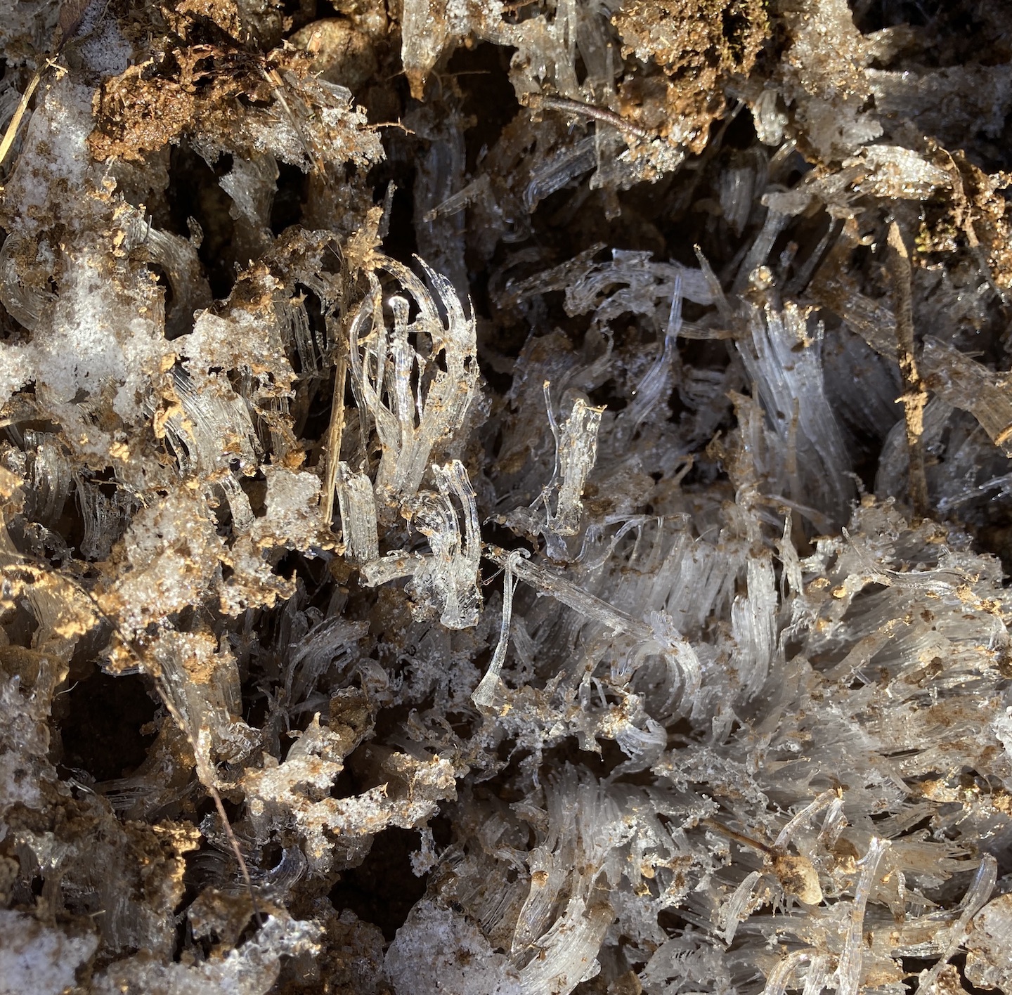 Almanac: Show & Tell - Amherst Indy