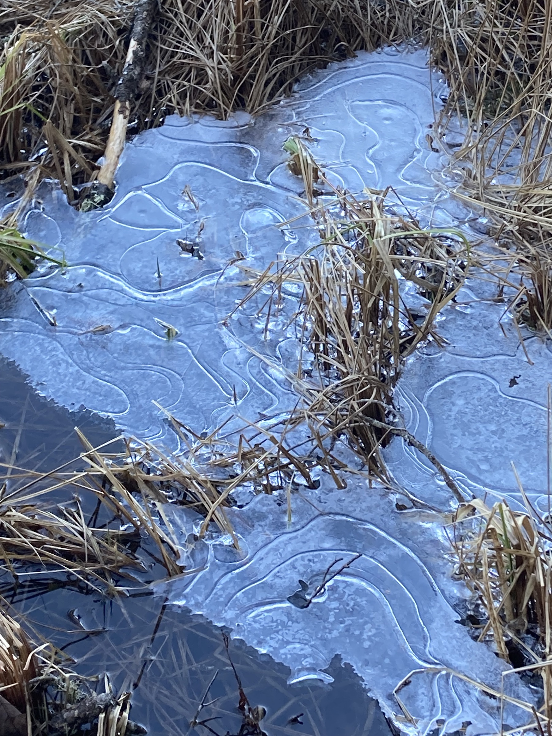 Almanac: Show & Tell - Amherst Indy