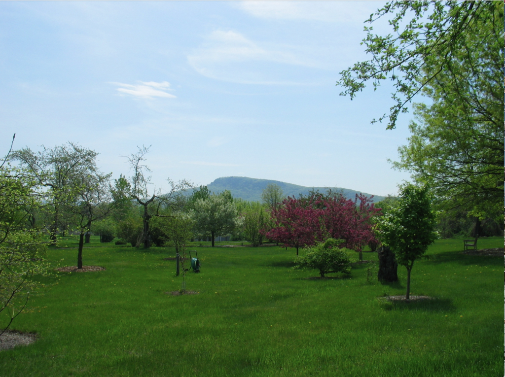 Photo Of The Week: Orchard Arboretum Frames The Distant Mt. Norwottuck ...