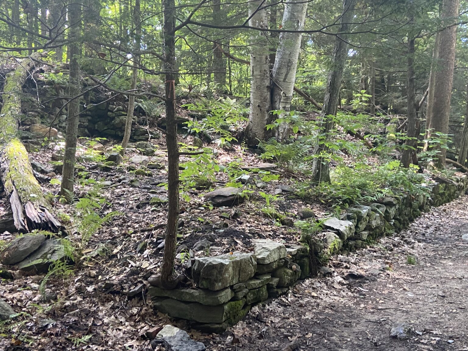 The Mill River in Amherst: The History You Probably Don’t Know ...