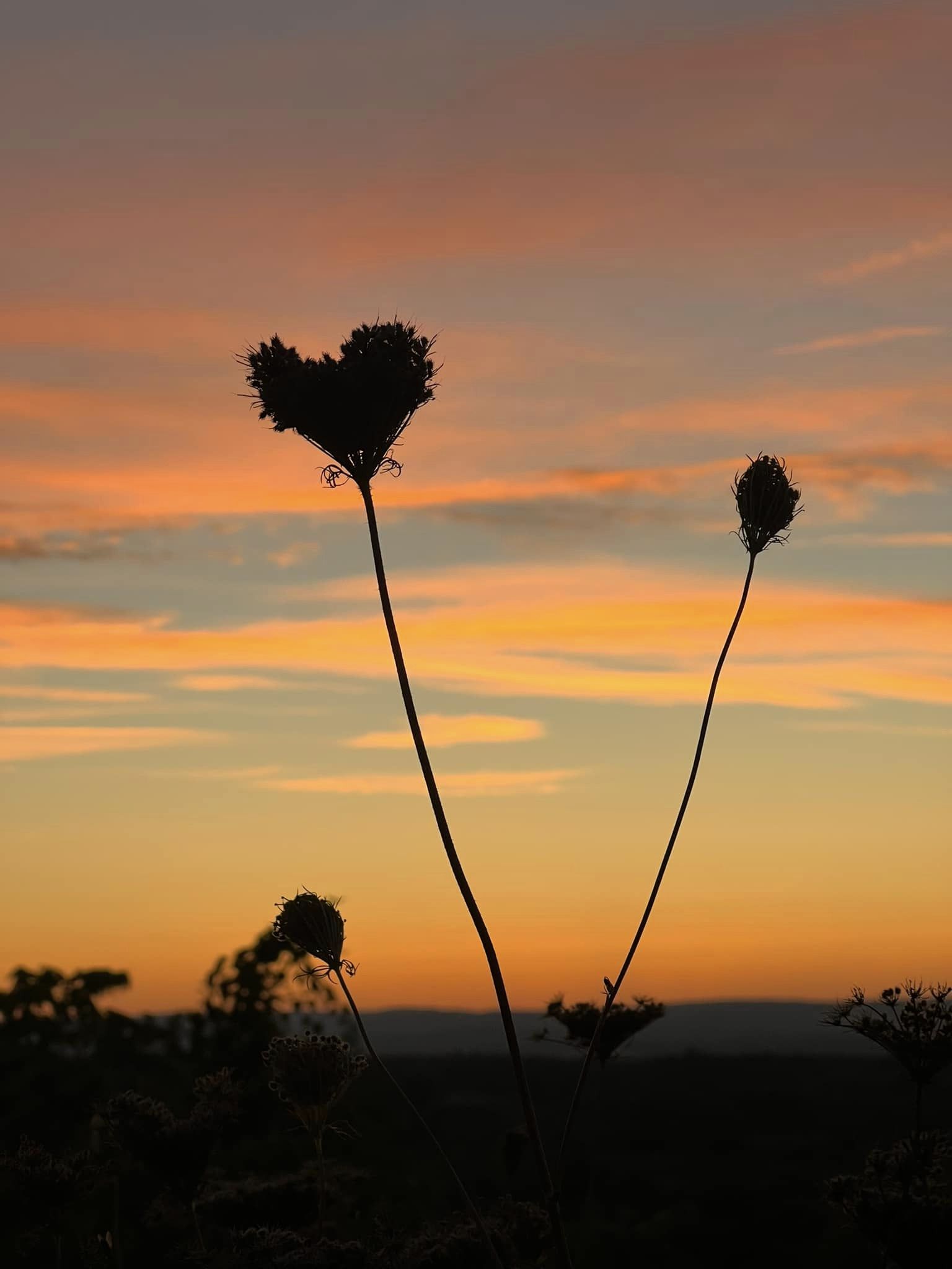 Photo Of The Week: A September Gallery - Amherst Indy