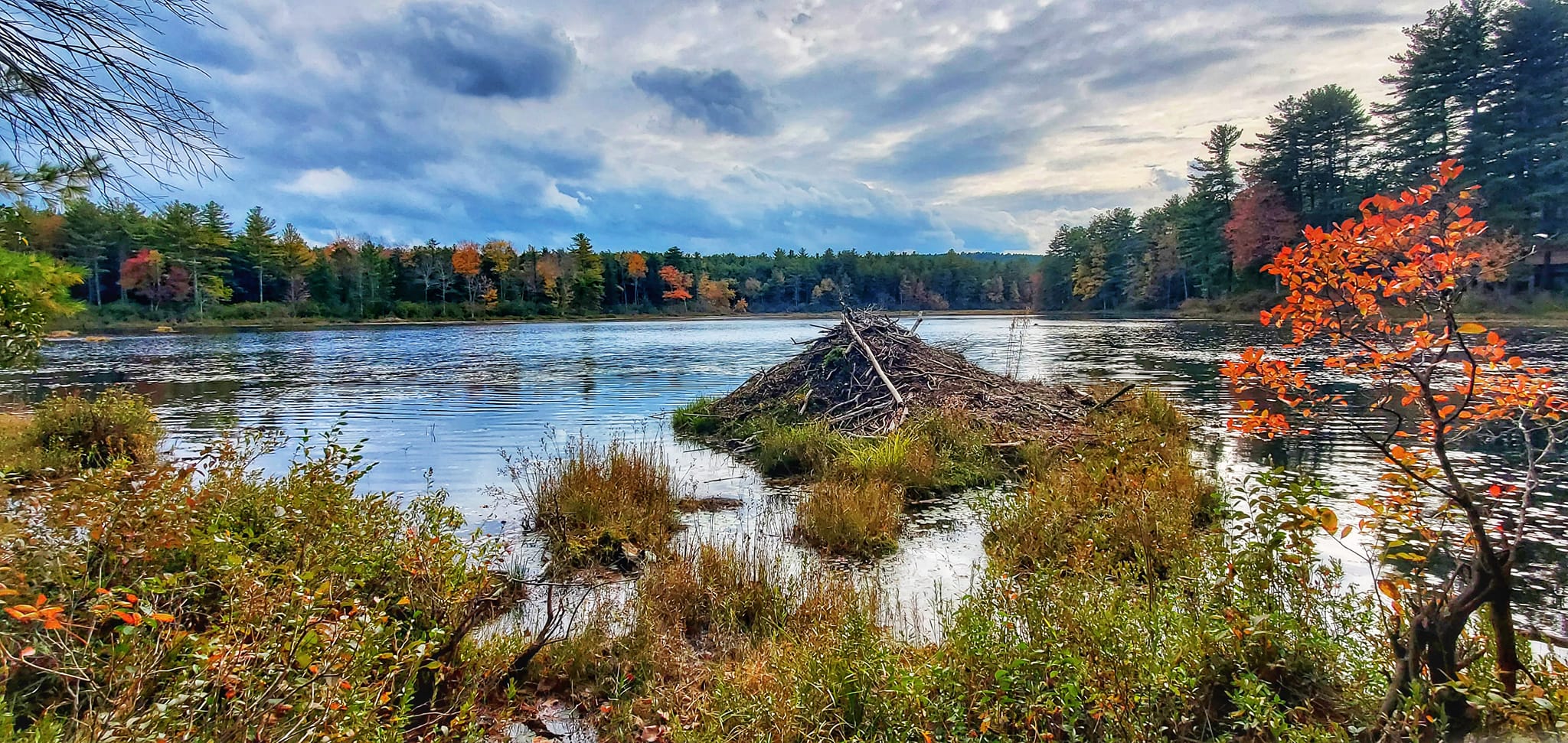 Photo of the Week: Strolling in Leverett and Shutesbury by Richard ...