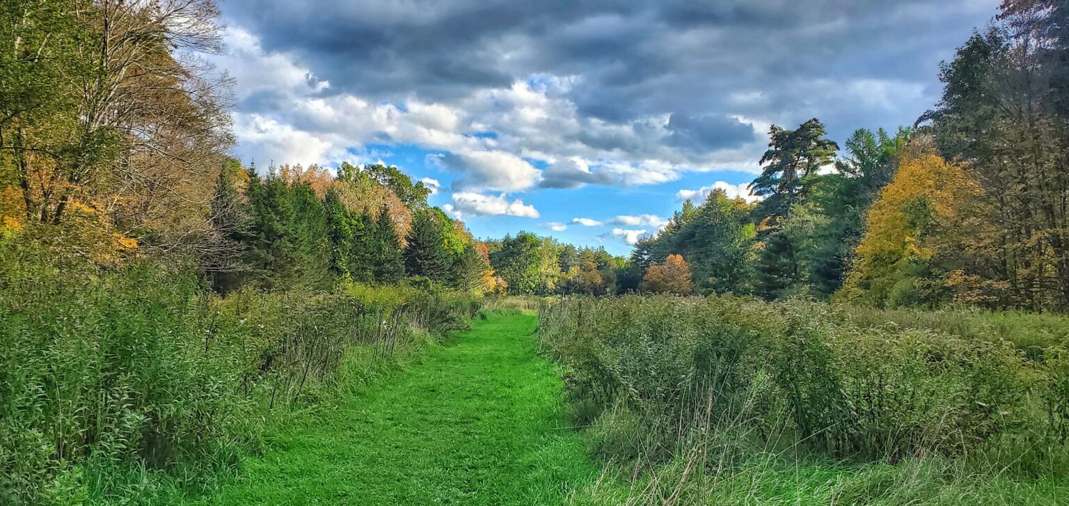 Photo of the Week: Strolling in Leverett and Shutesbury by Richard ...