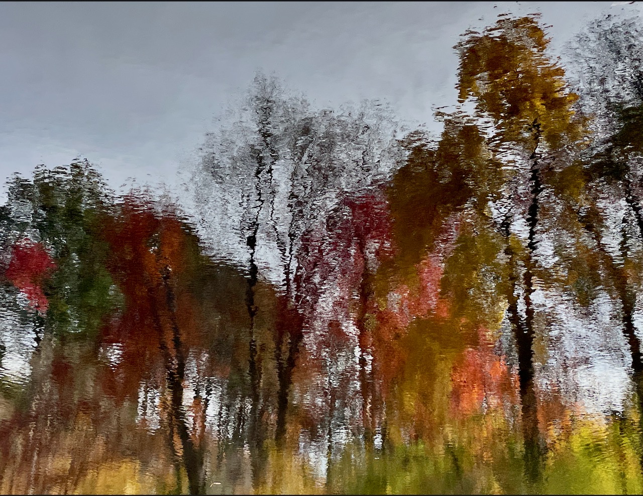 Photo of the Week: Indy’s Annual Fall Foliage Gallery - Amherst Indy