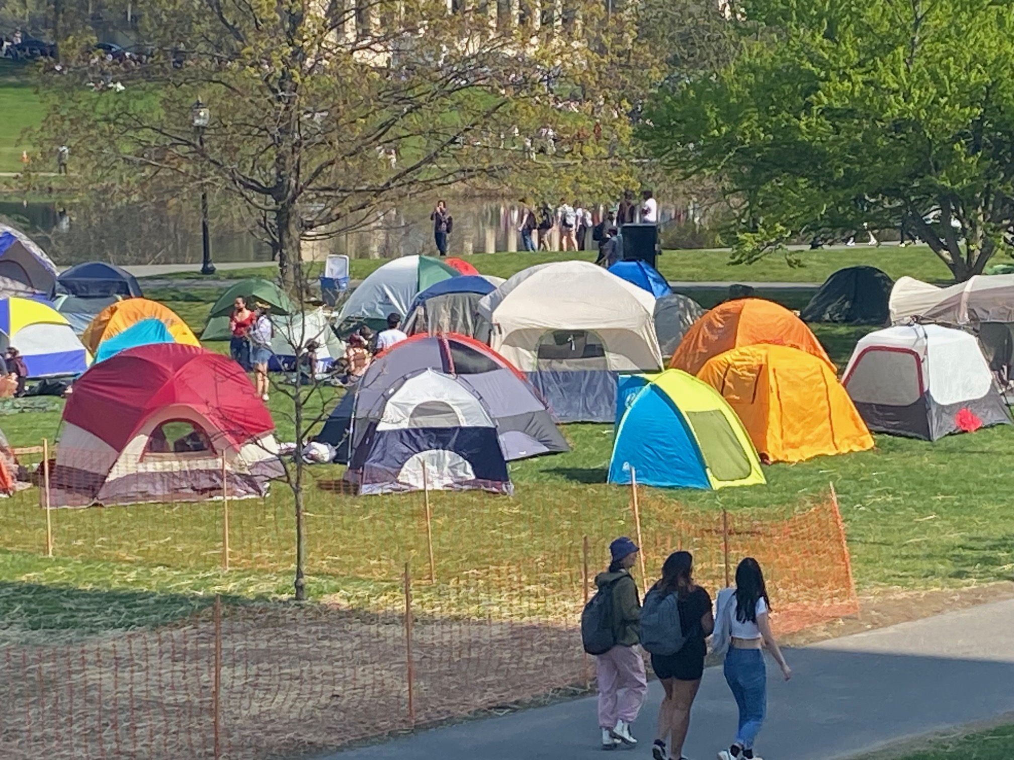 UMass Students Establish Encampment in Support of Palestine - Amherst Indy
