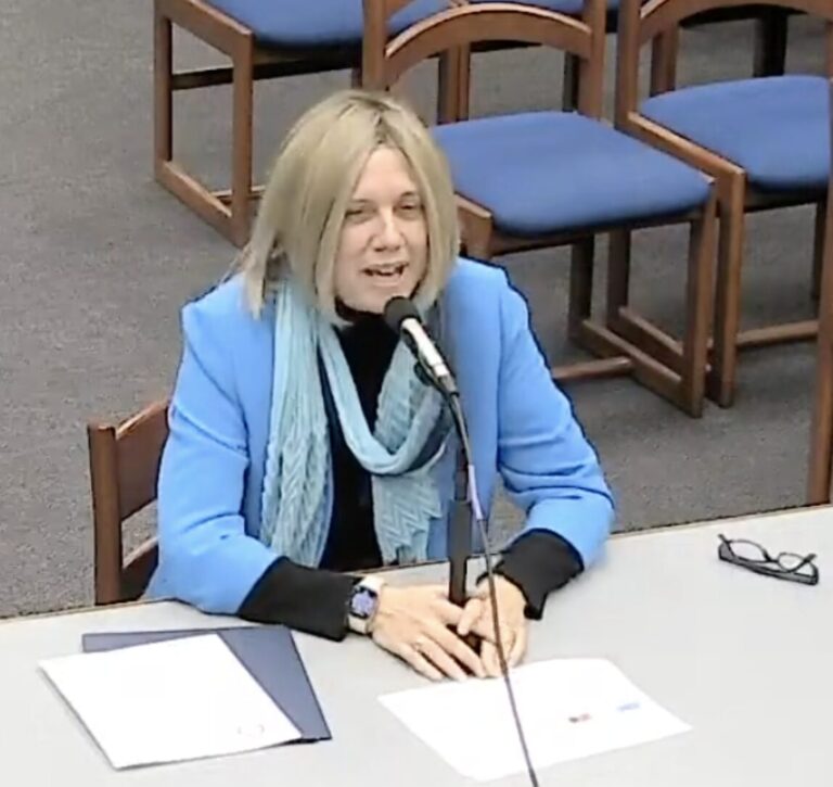 School Committee Interviews Superintendent Candidate Susan Gilson ...