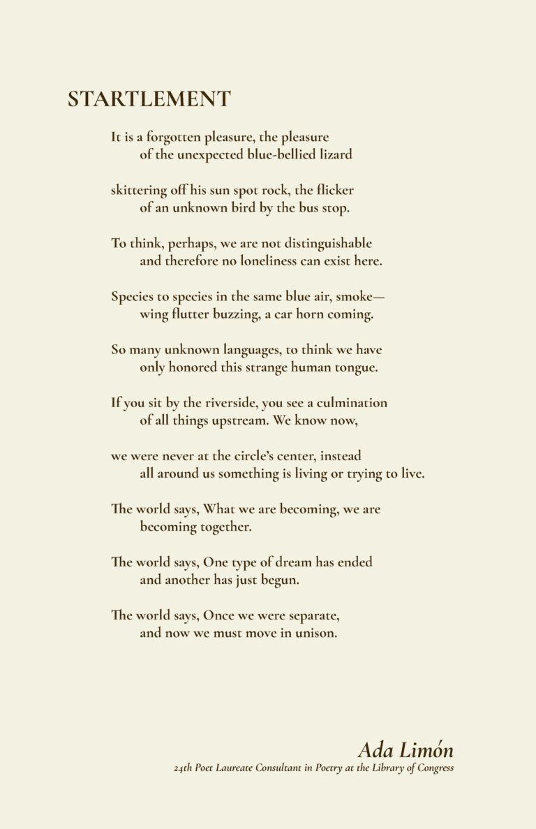 Poetry: Startlement by Ada Limón - Amherst Indy