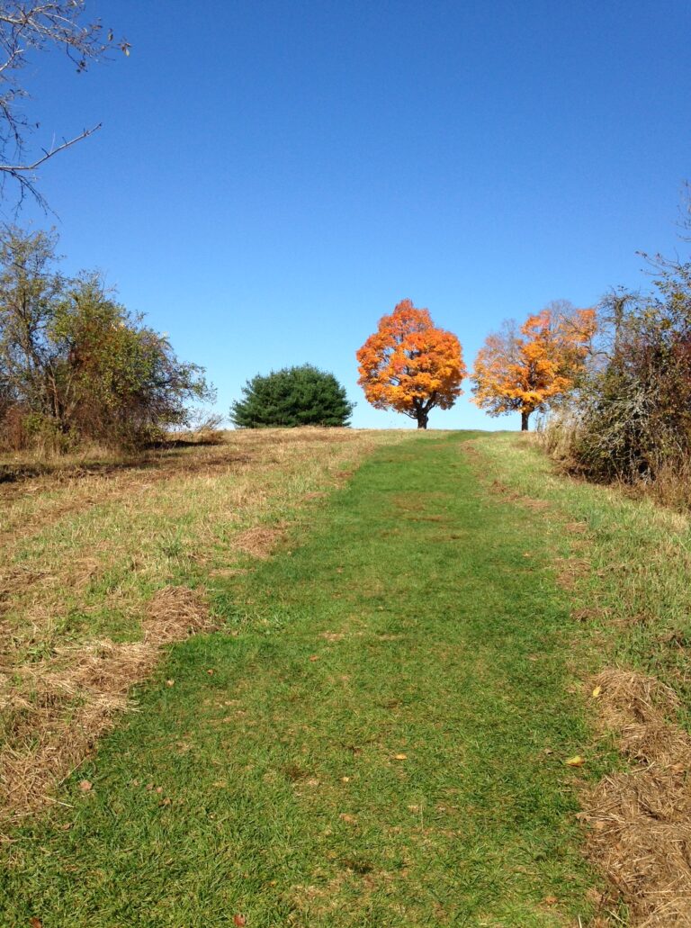Landform Observatory Planned for Mount Pollux - Amherst Indy