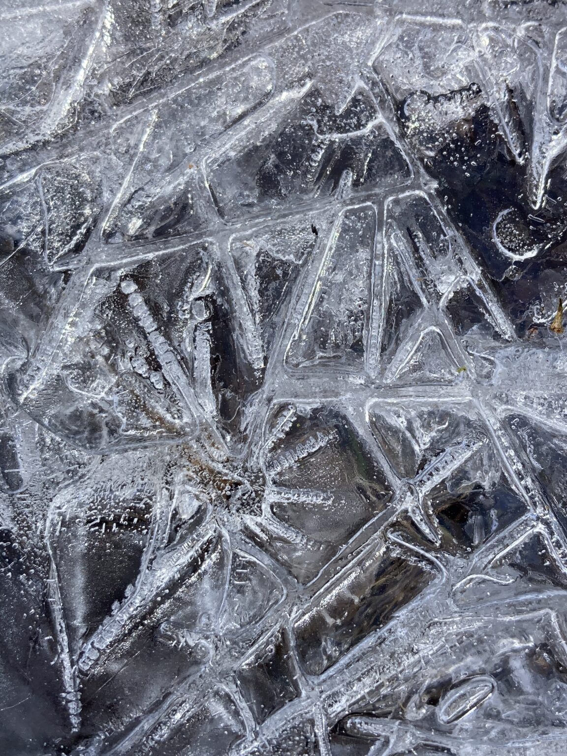 Photos of the Week: Farewell to Stream Ice by Annique Boomsma and John ...