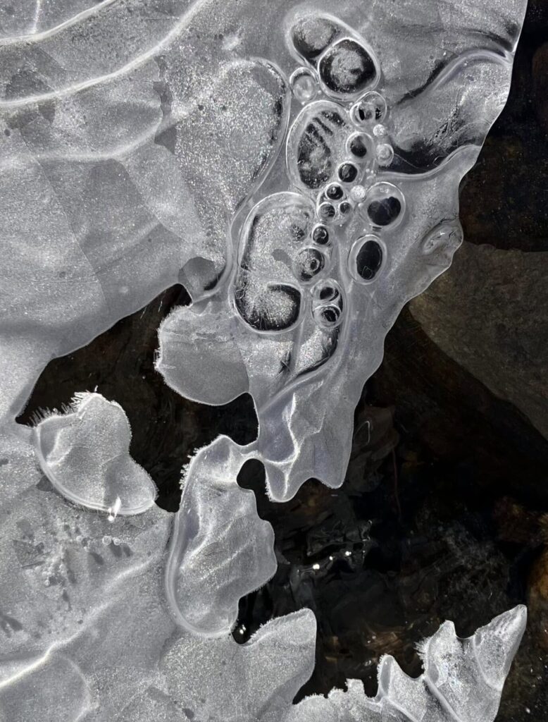 Photos of the Week: Farewell to Stream Ice by Annique Boomsma and John ...