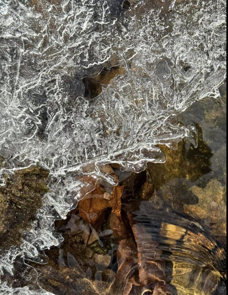 Photos of the Week: Farewell to Stream Ice by Annique Boomsma and John ...