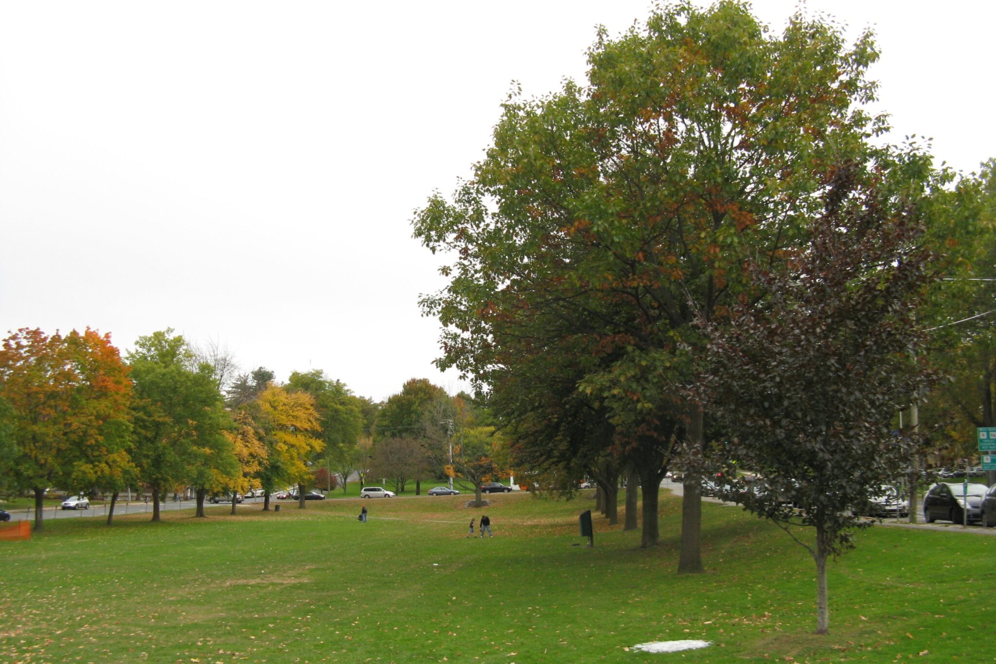 Views on Views: Amherst’s Public Parks - Amherst Indy